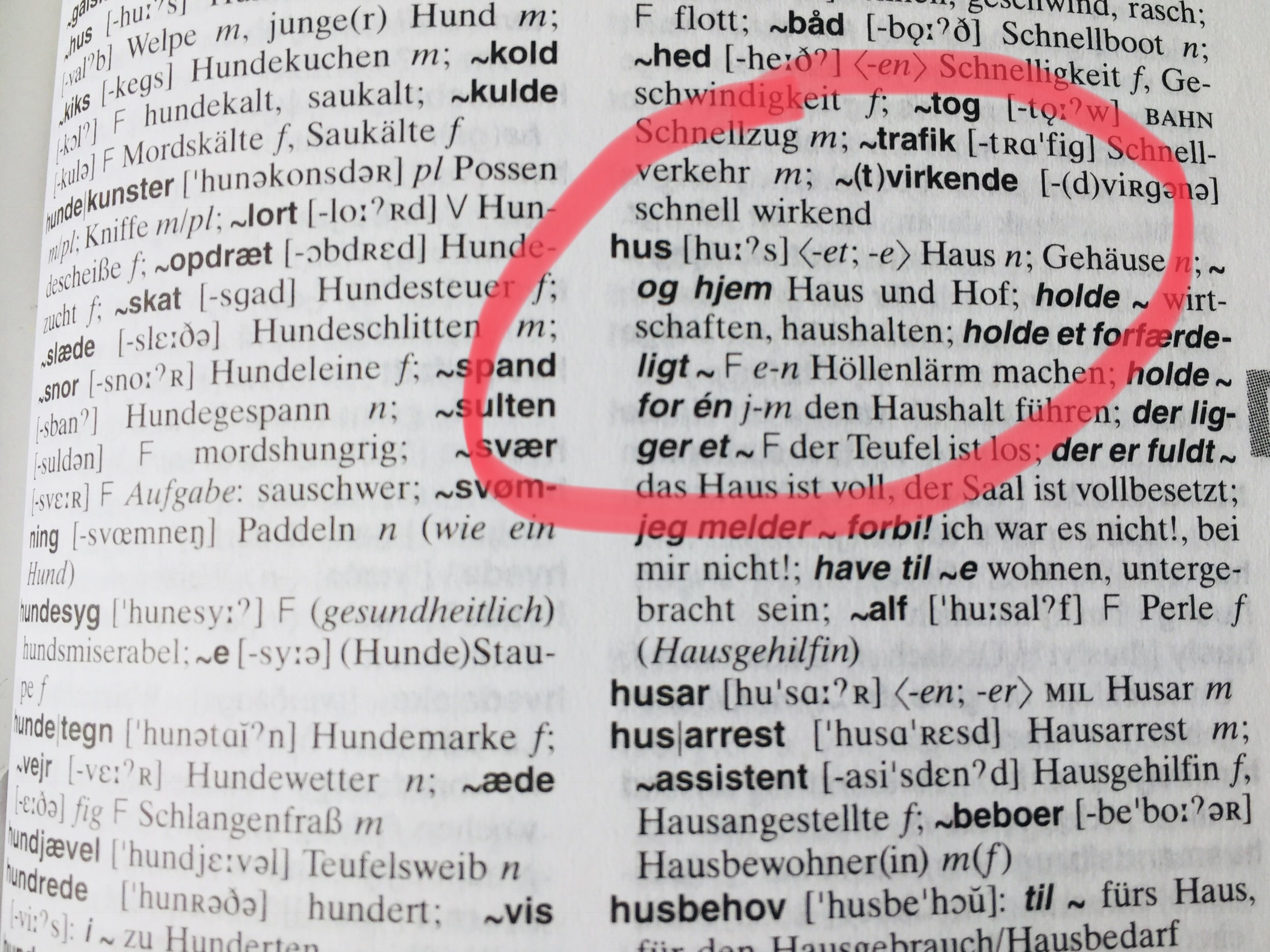 5 Tipps für die Auswahl eines Wörterbuchs - Kapidaenin
