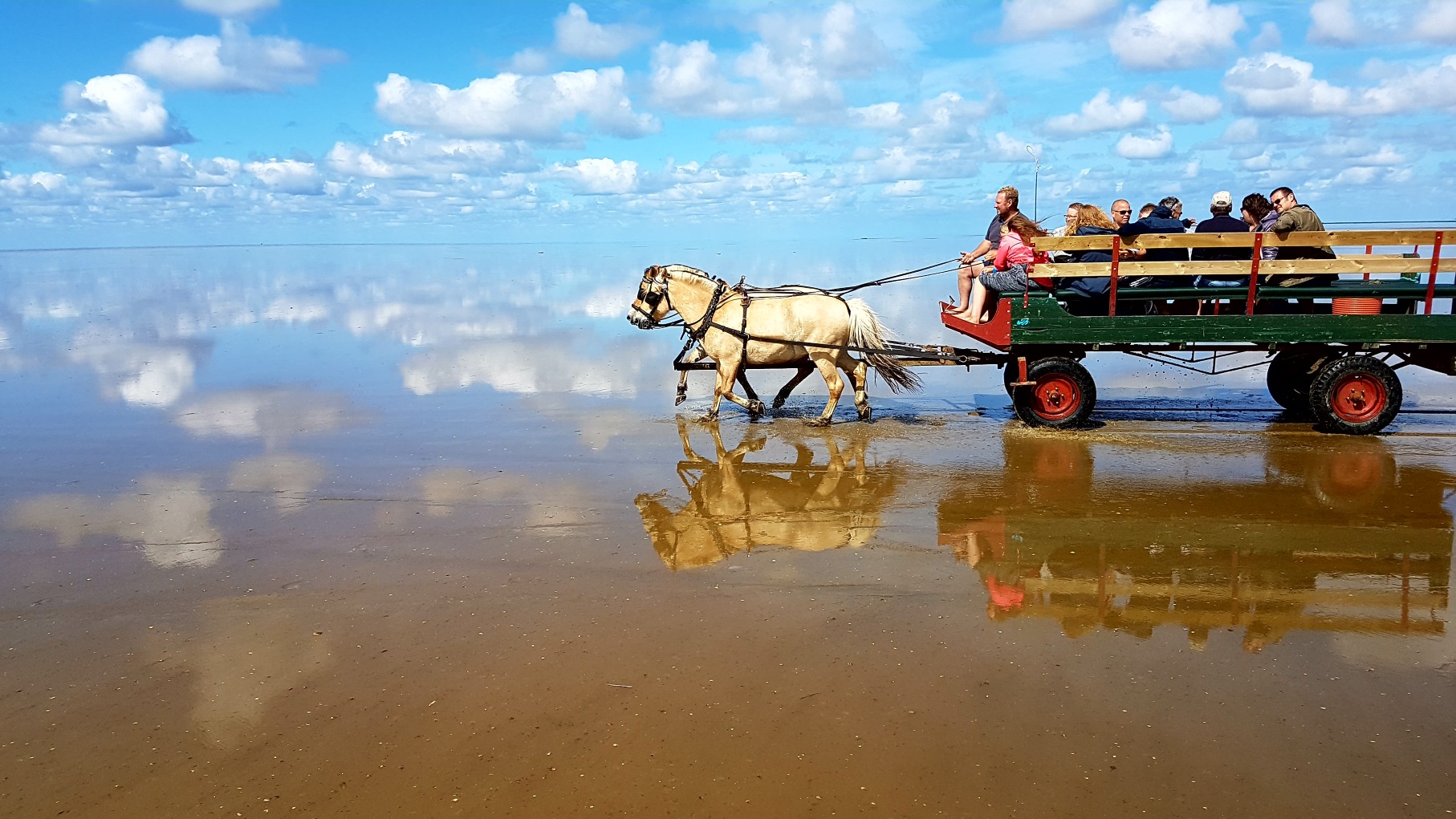 Dänemarks 5 Nationalparks: Nationalpark Vadehavet - Kapidaenin